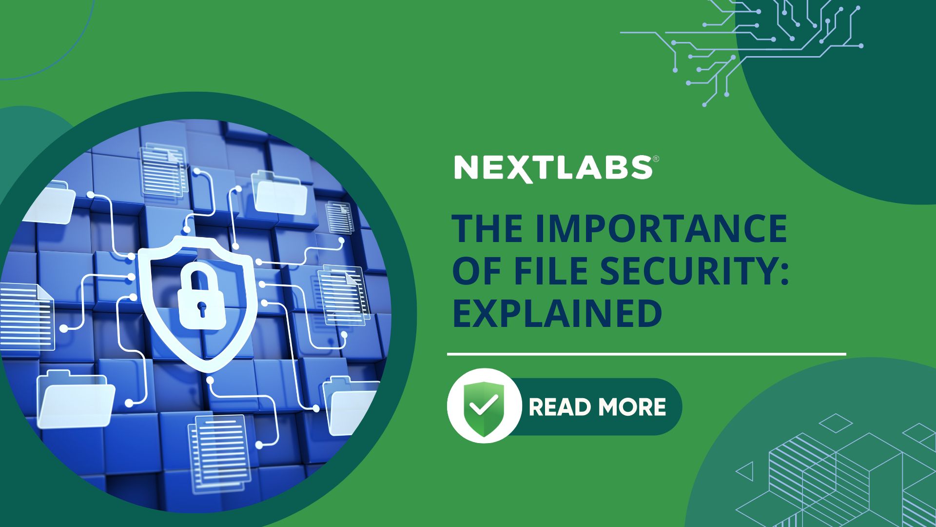 The Importance of File Security: Explained - NextLabs